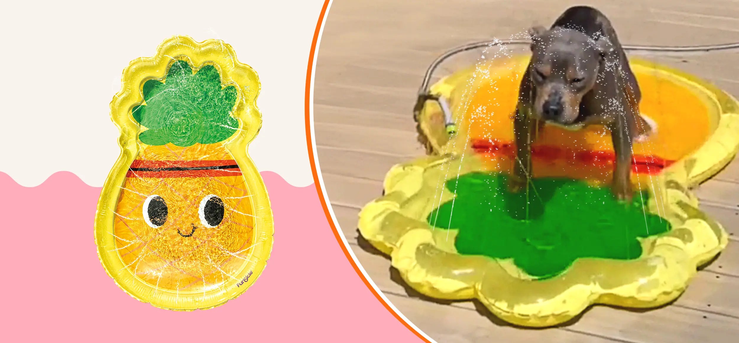 Meet Miss Peaches: The Internet’s Favorite Furry Influencer – Funsicle